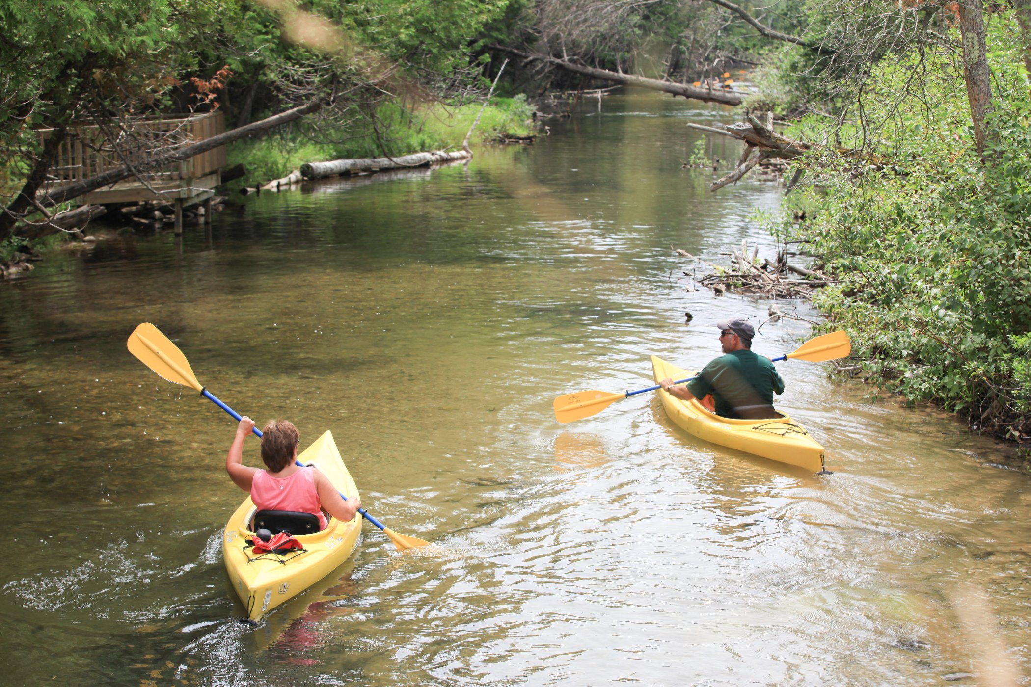 All Activities | Crystal River Outfitters Recreational District